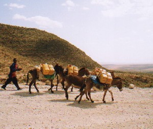 Photo Essay - Jijiga - 2004